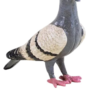 Shop Cast Iron Pigeon Figure Online At Holmes & Wilson